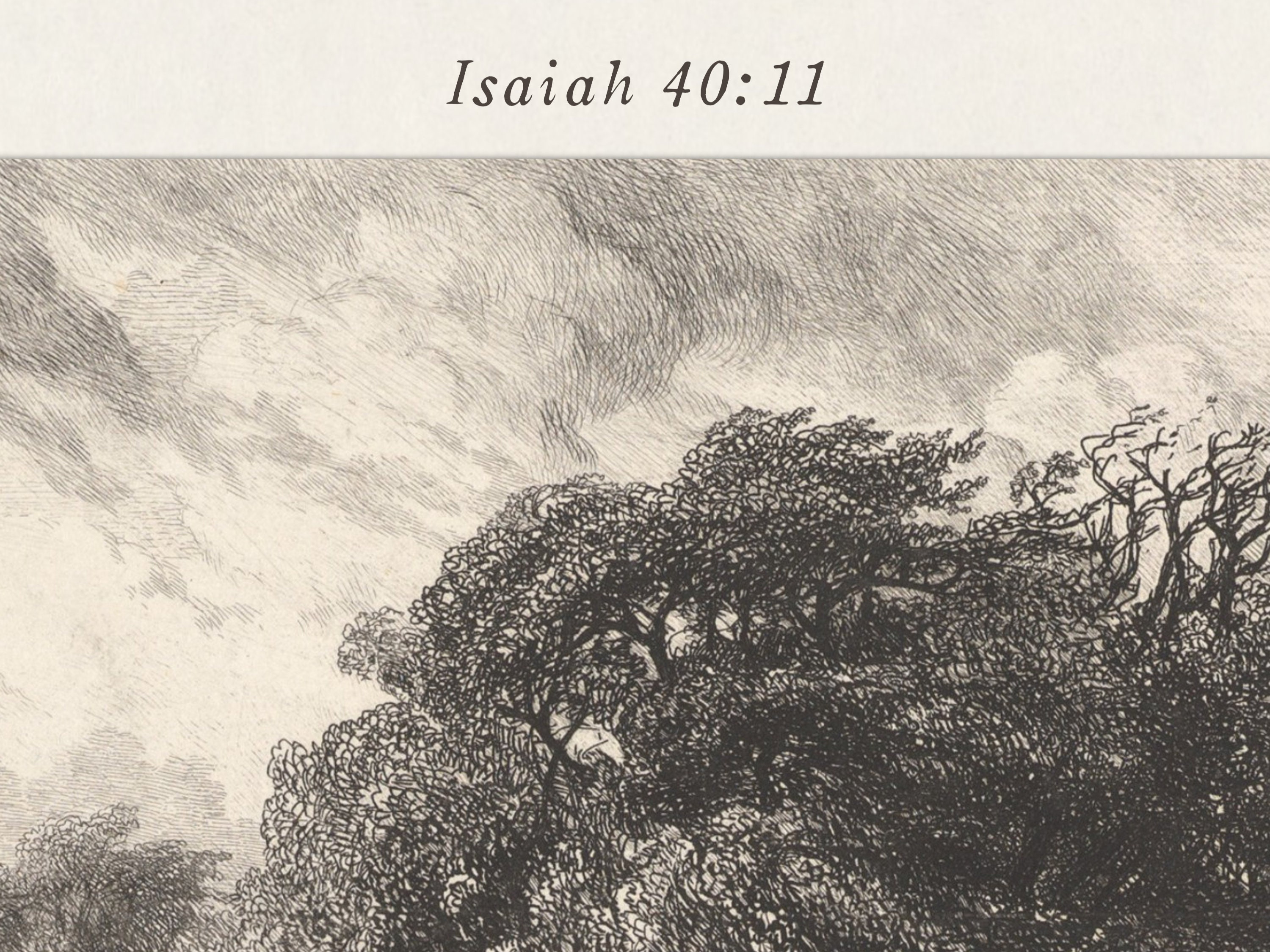 Pastoral Sketch Printable Artwork, Isaiah 40:11 Bible Verse Art, Sheep ...