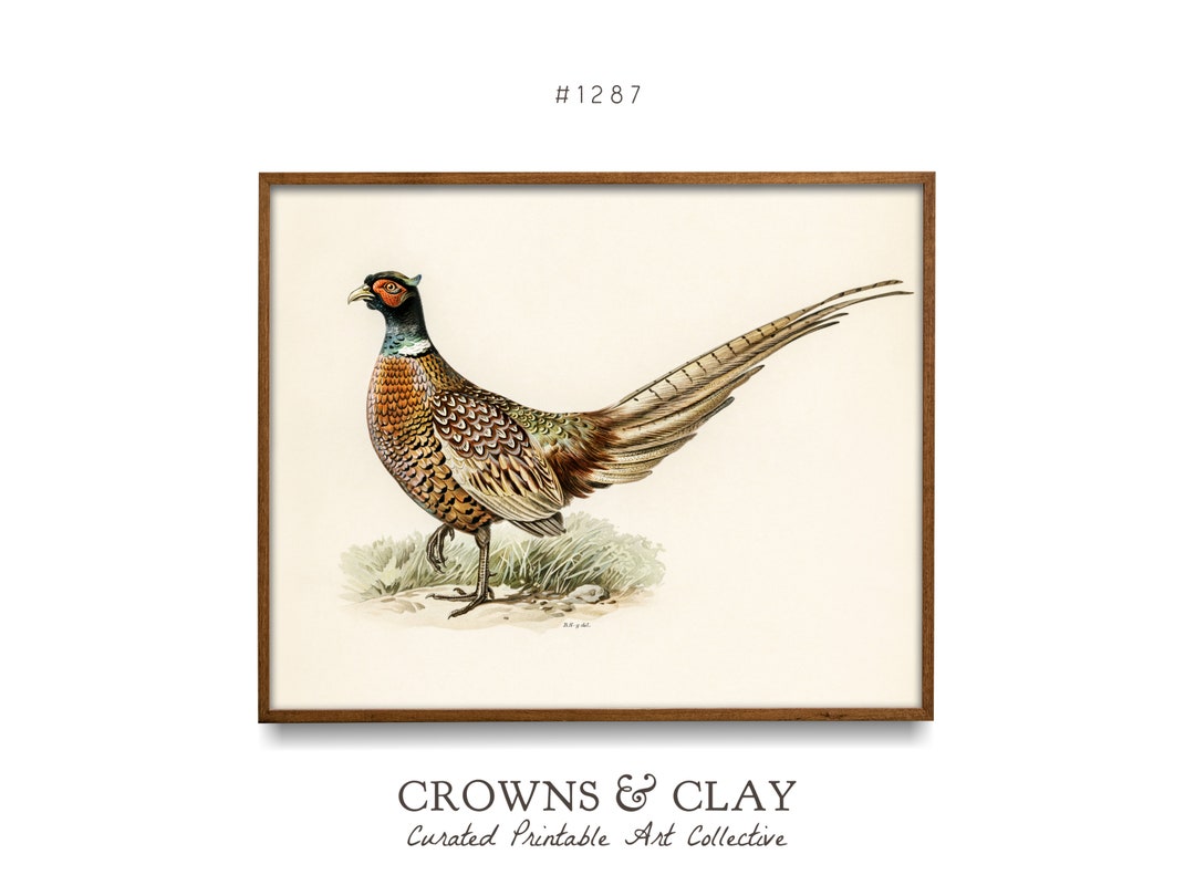 Pheasant Print, PRINTABLE Artwork, Thanksgiving Art, Rustic Home Decor ...