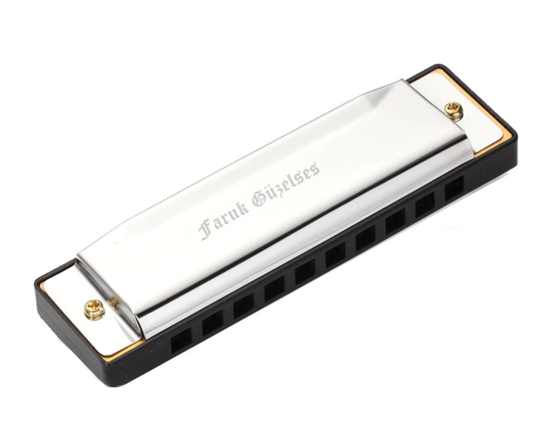 Harmonica 10 Hole Diatonic Musical Instrument Mouth Organ Personalized ...