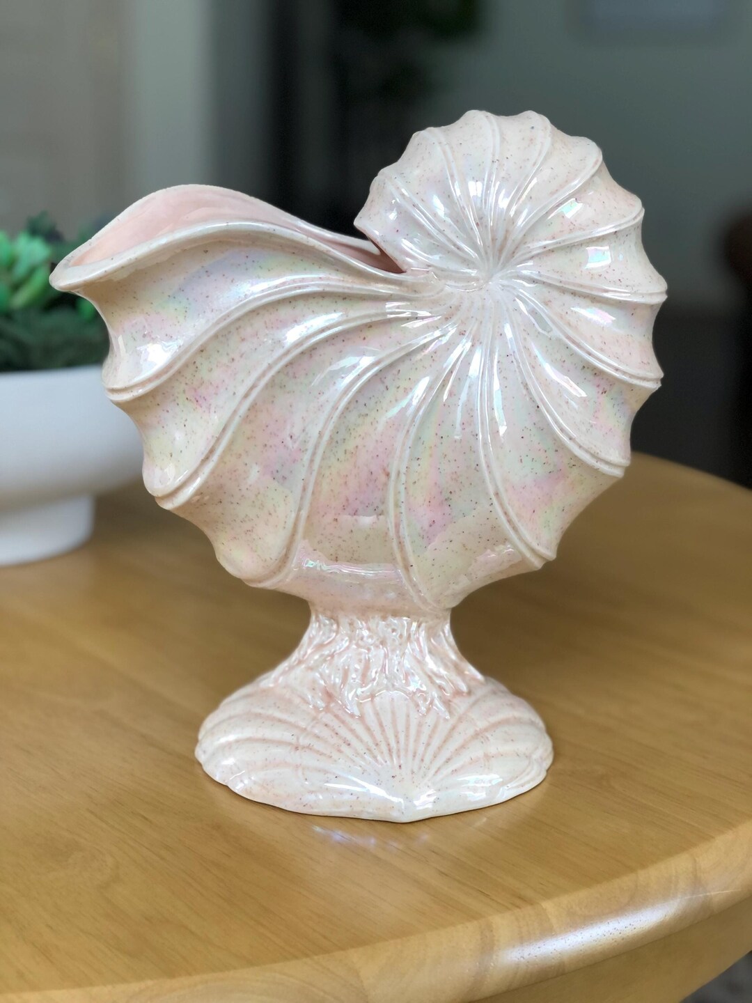 Vintage Conch Shell Indoor Planter, Coastal Beach Home Décor ...