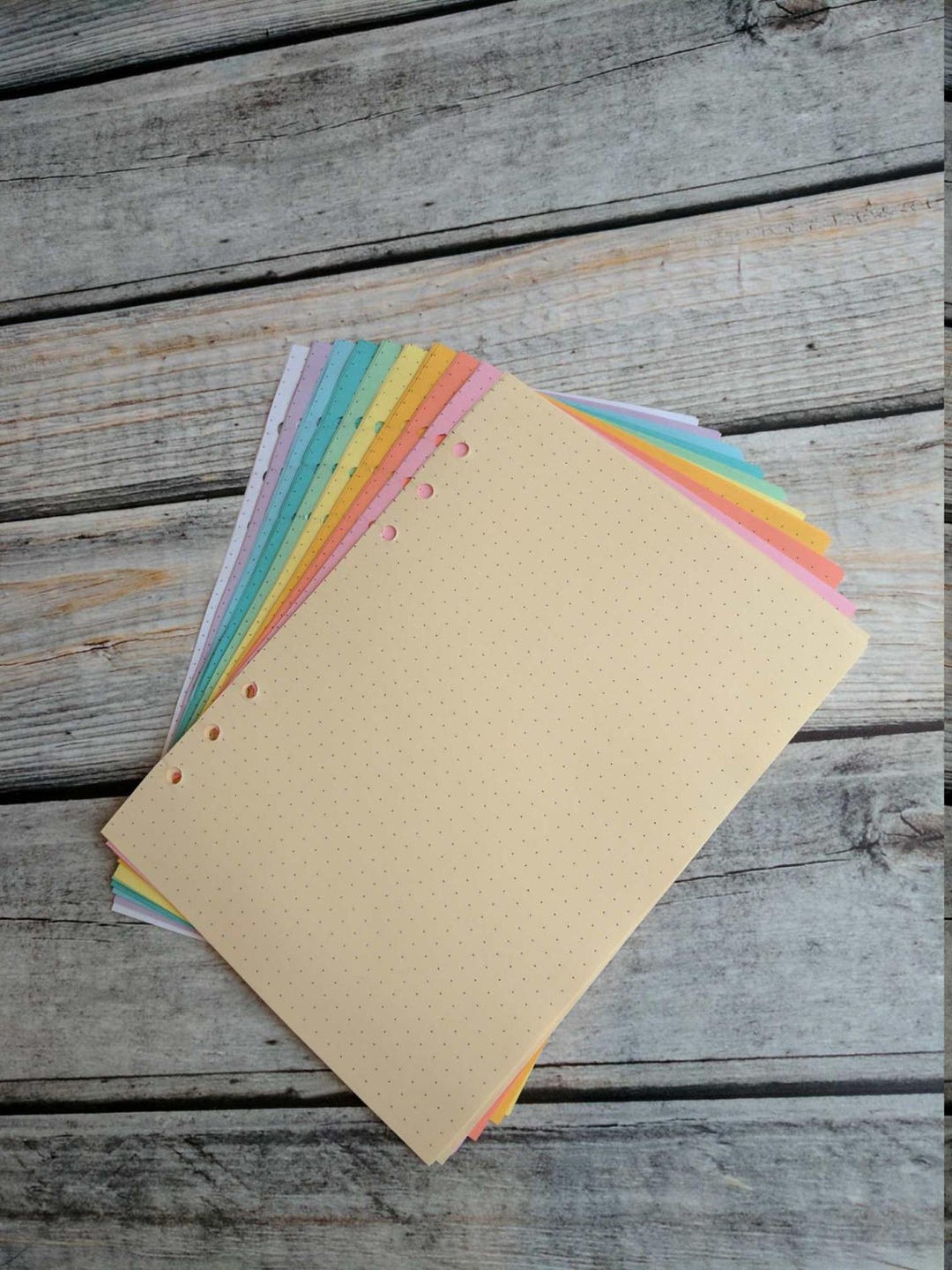 PASTEL RAINBOW Planner Paper Fits Filofax Personal or A5 Size Planners ...