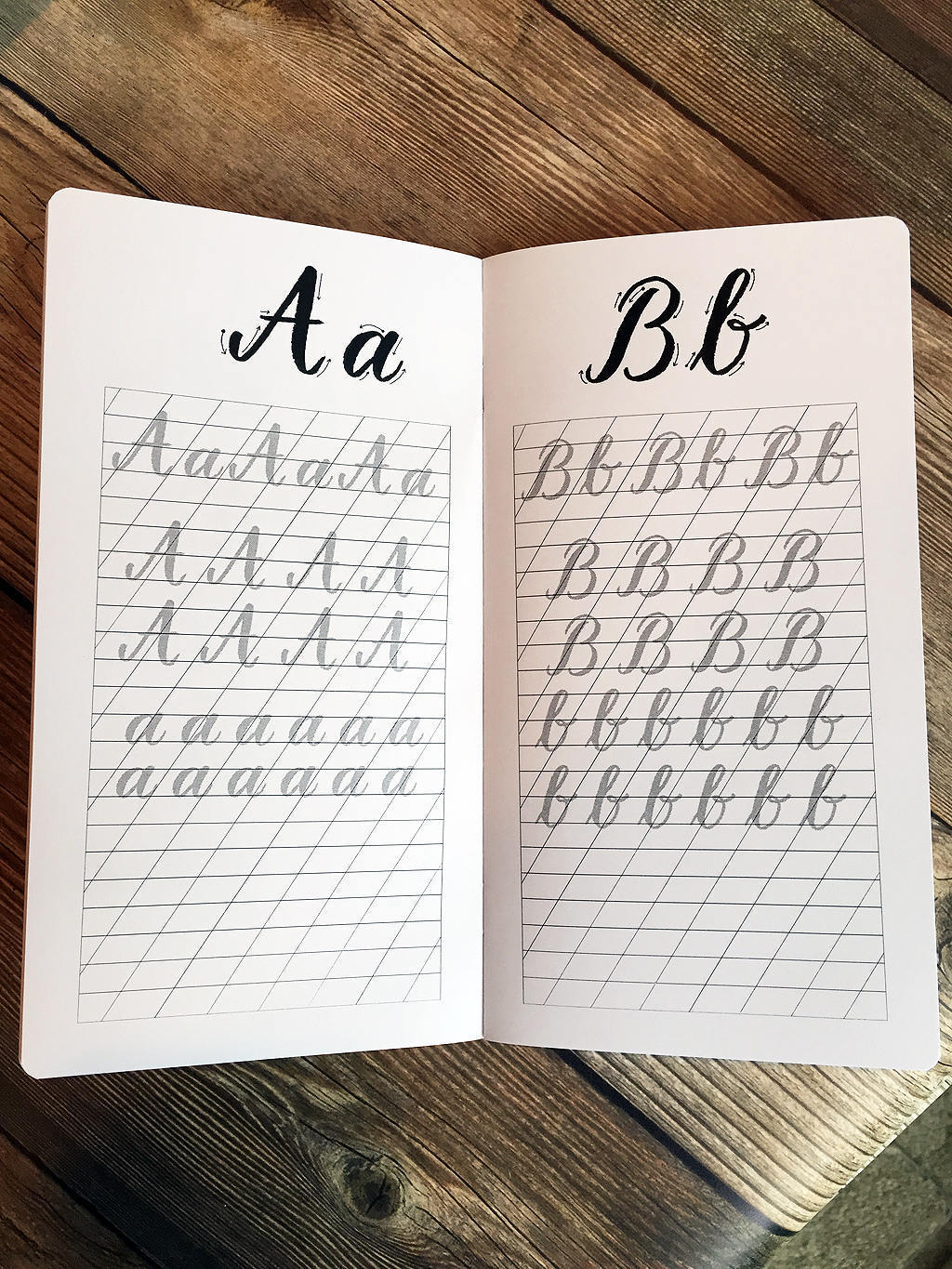 Brush Lettering Guide Traveler's Notebook Insert - Etsy