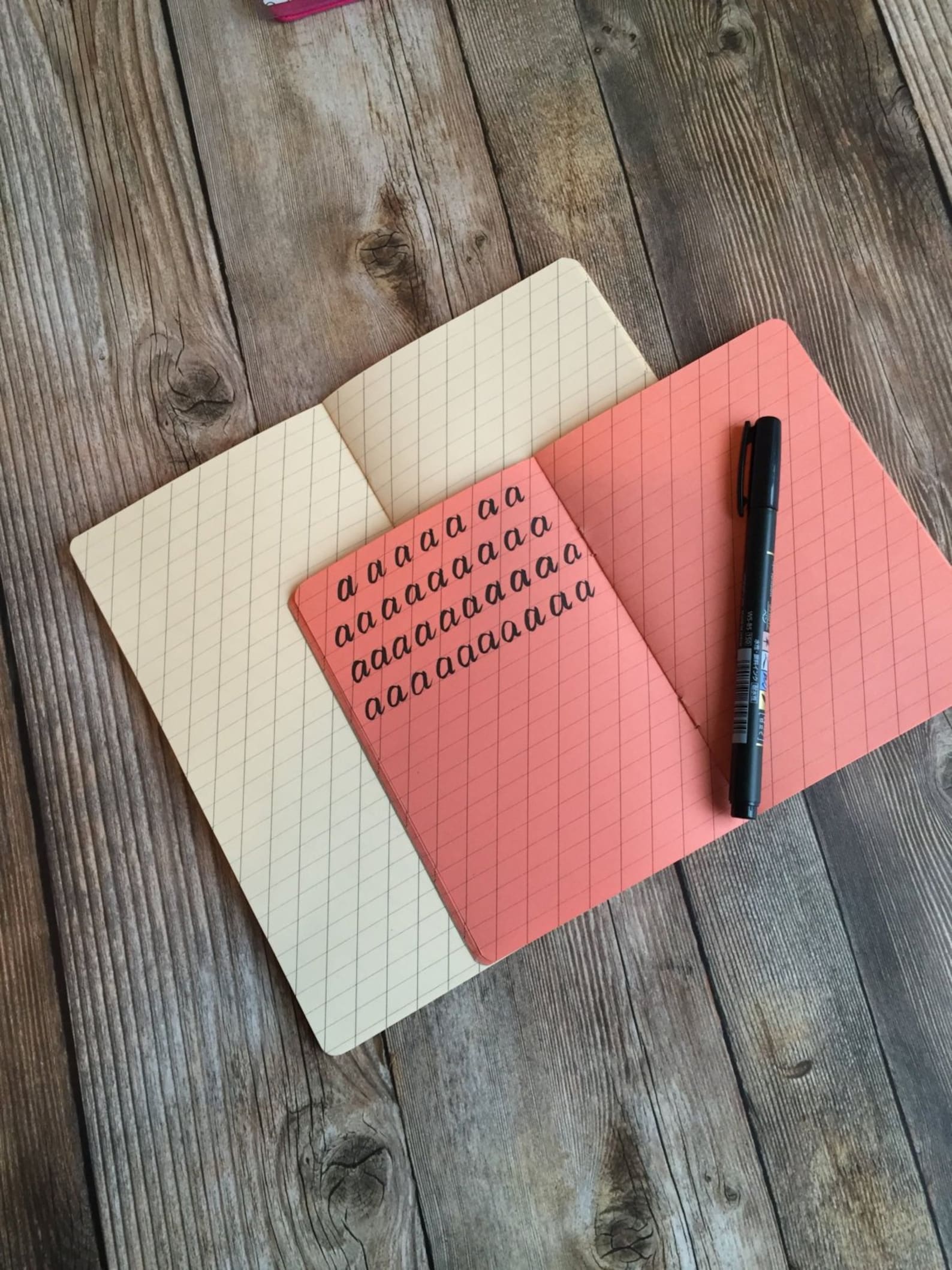 Hand Lettering / Calligraphy Practice Traveler's Notebook - Etsy