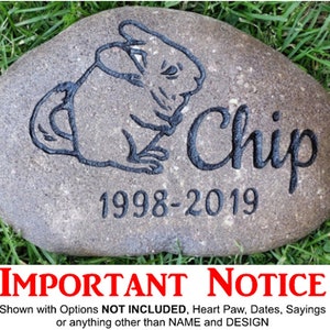 Pet Memorial Chinchilla Stone 5”/6" or 7”/8", Engraved Personalized ...