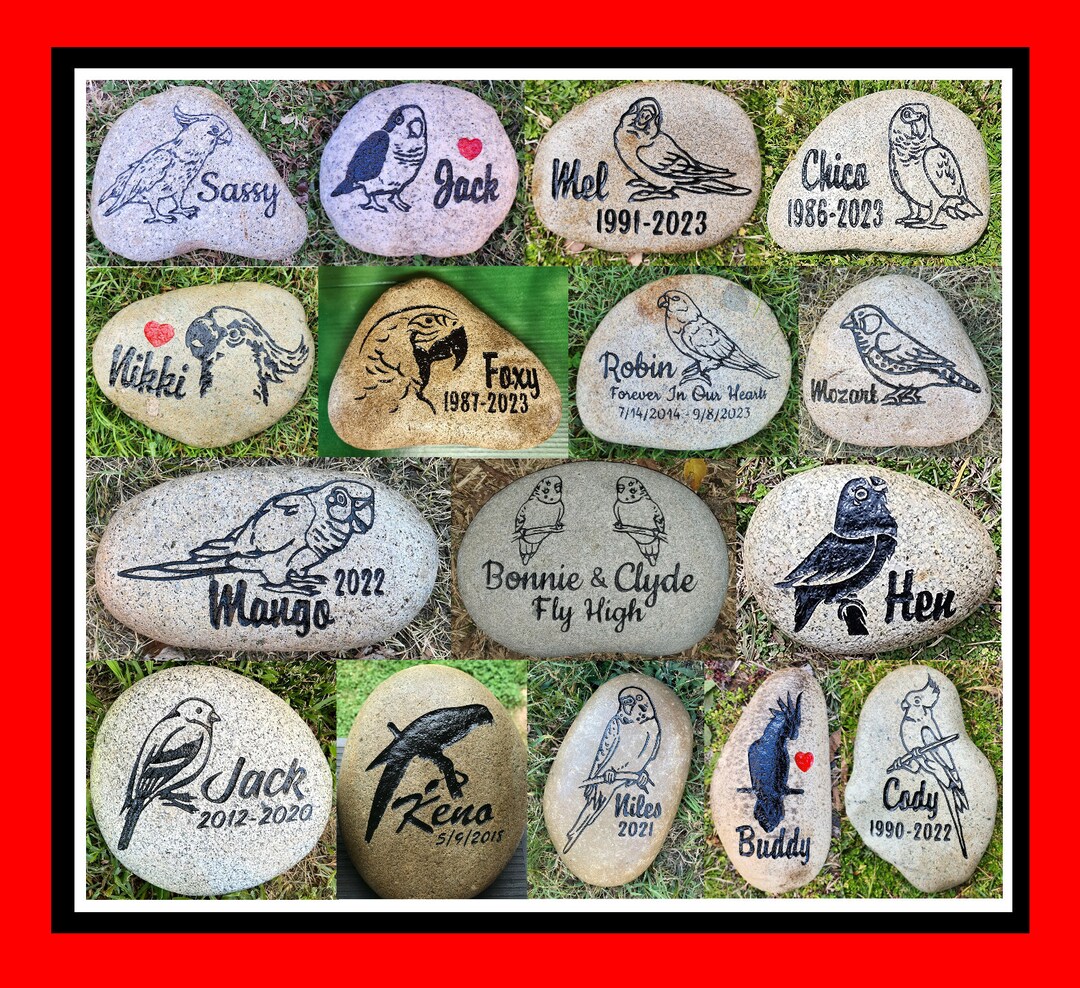 Parrot Bird Pet Memorial Stone, Exotic Bird, Native Bird, Outdoor ...