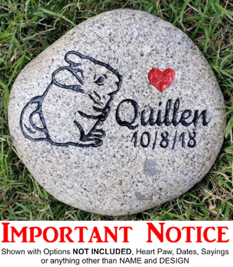 Pet Memorial Chinchilla Stone 5”/6" or 7”/8", Engraved Personalized ...