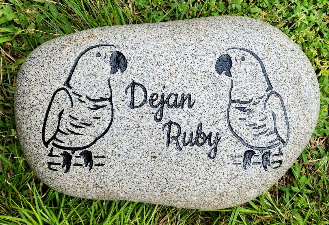Parrot Bird Pet Memorial Stone, Exotic Bird, Native Bird, Outdoor ...