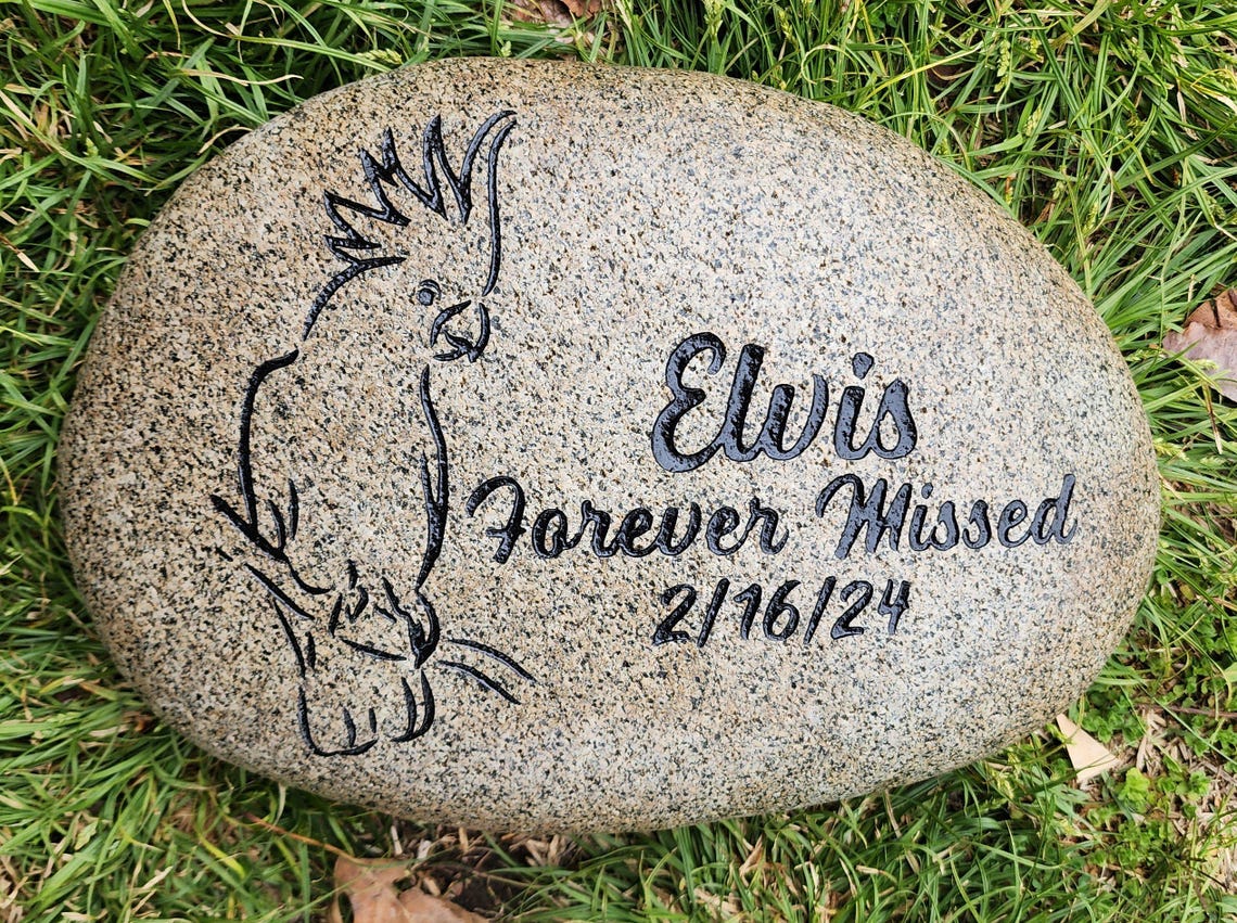 Parrot Bird Pet Memorial Stone, Exotic Bird, Native Bird, Outdoor ...