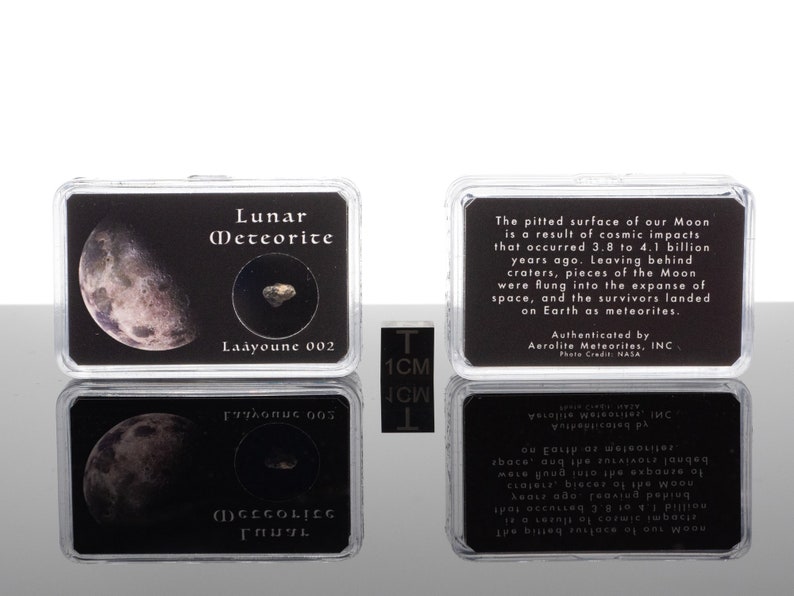 Moon STEM Meteorite Rock Box - Etsy