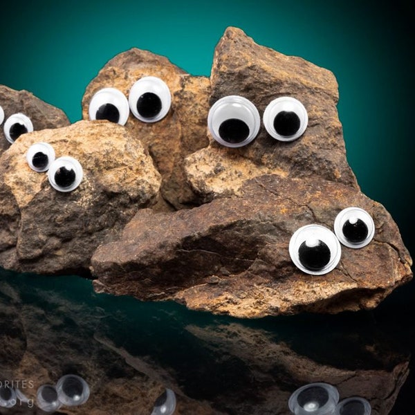 Pet Rock - Etsy