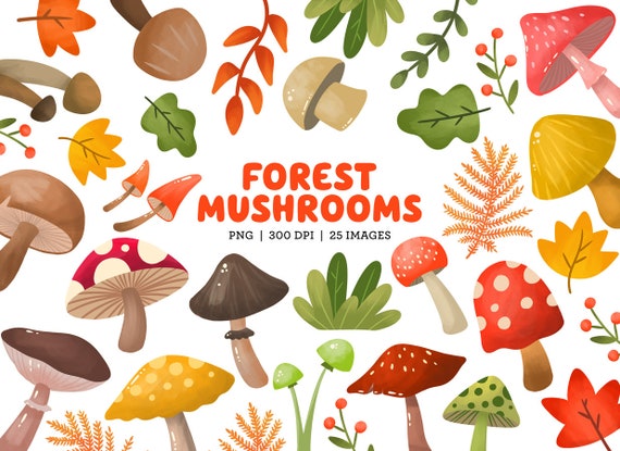 Mushrooms Watercolor Clipart Set Fungi Illustration Forest - Etsy
