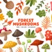 Mushrooms Watercolor Clipart Set - Fungi Illustration, Forest Clip Art ...