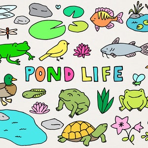Pond Life Clipart Set - Frogs, Toads, Fish Birds & Plants Illustrations ...