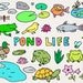 Pond Life Clipart Set - Frogs, Toads, Fish Birds & Plants Illustrations ...