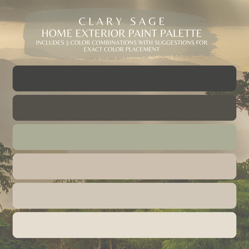 Clary Sage Paint Palette - Etsy