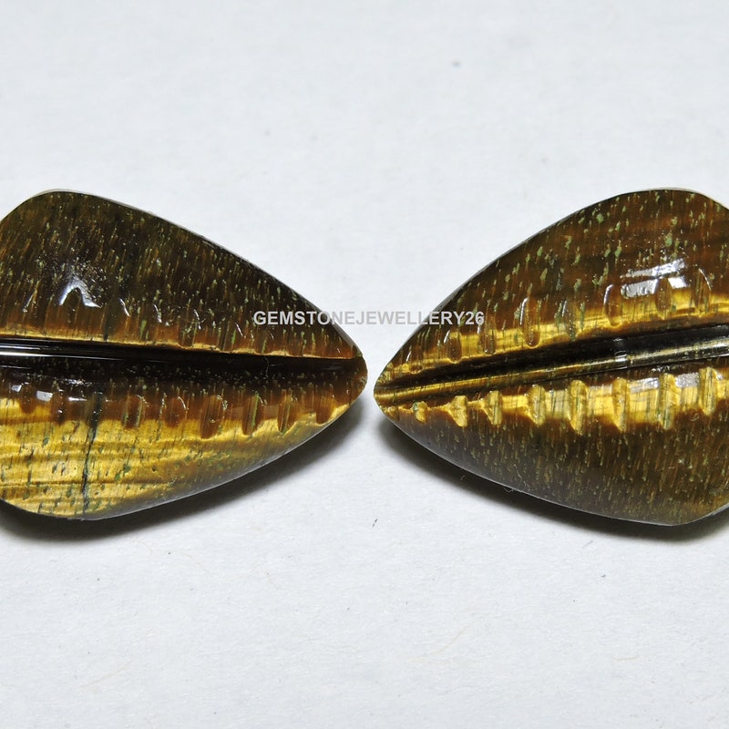 Cowrie Shells - Etsy