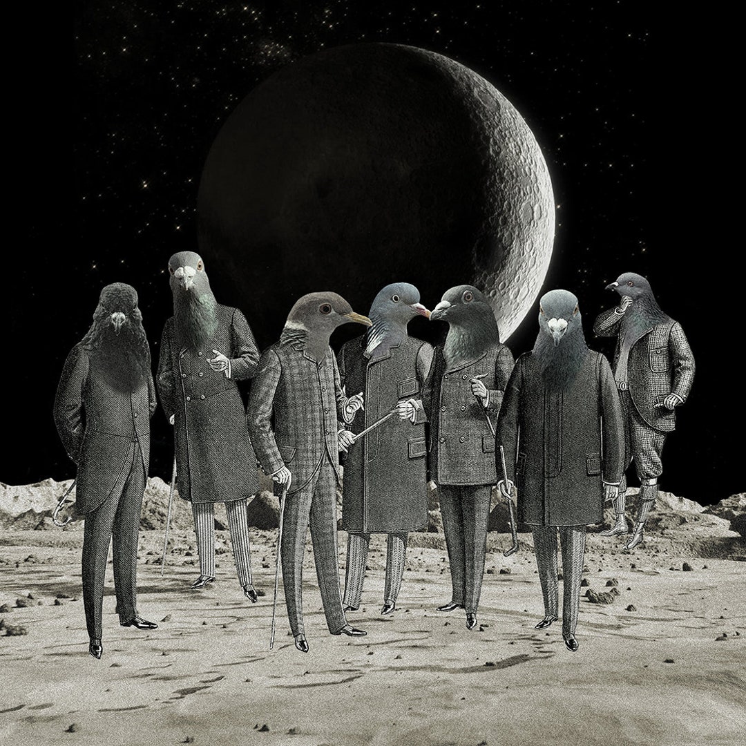 Pigeon Collage Poster, Printable Poster, Digital Collage Art, Collage ...