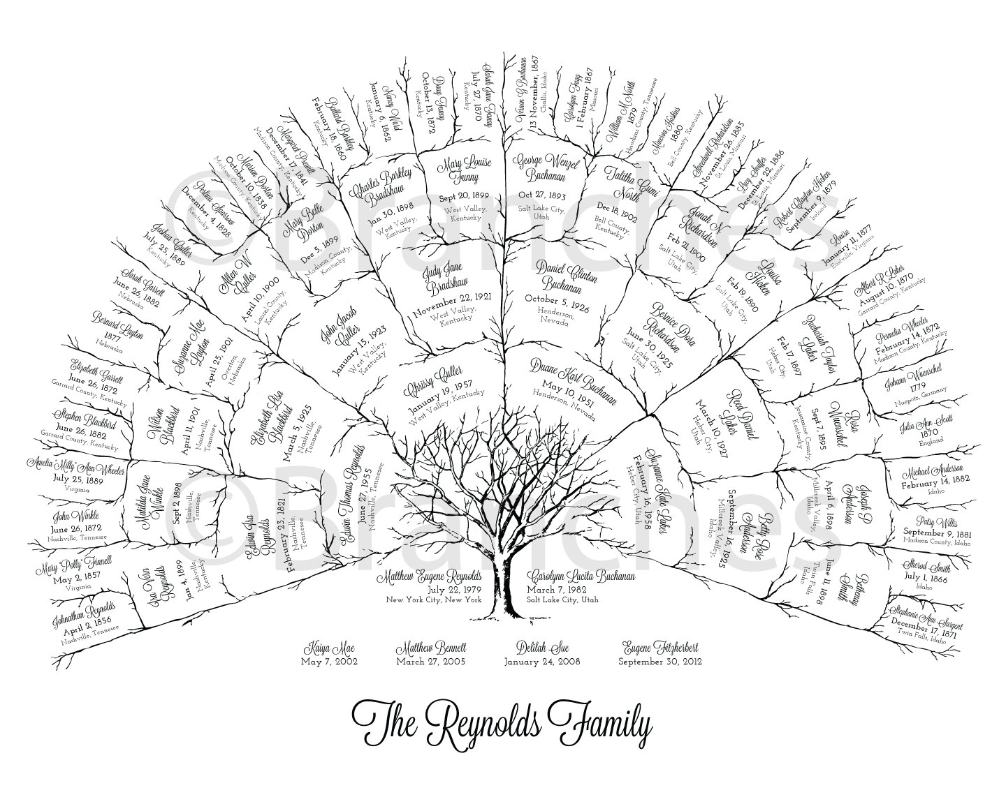 Custom Family Tree - 5 Generations -- DIGITAL COPY ONLY - Etsy