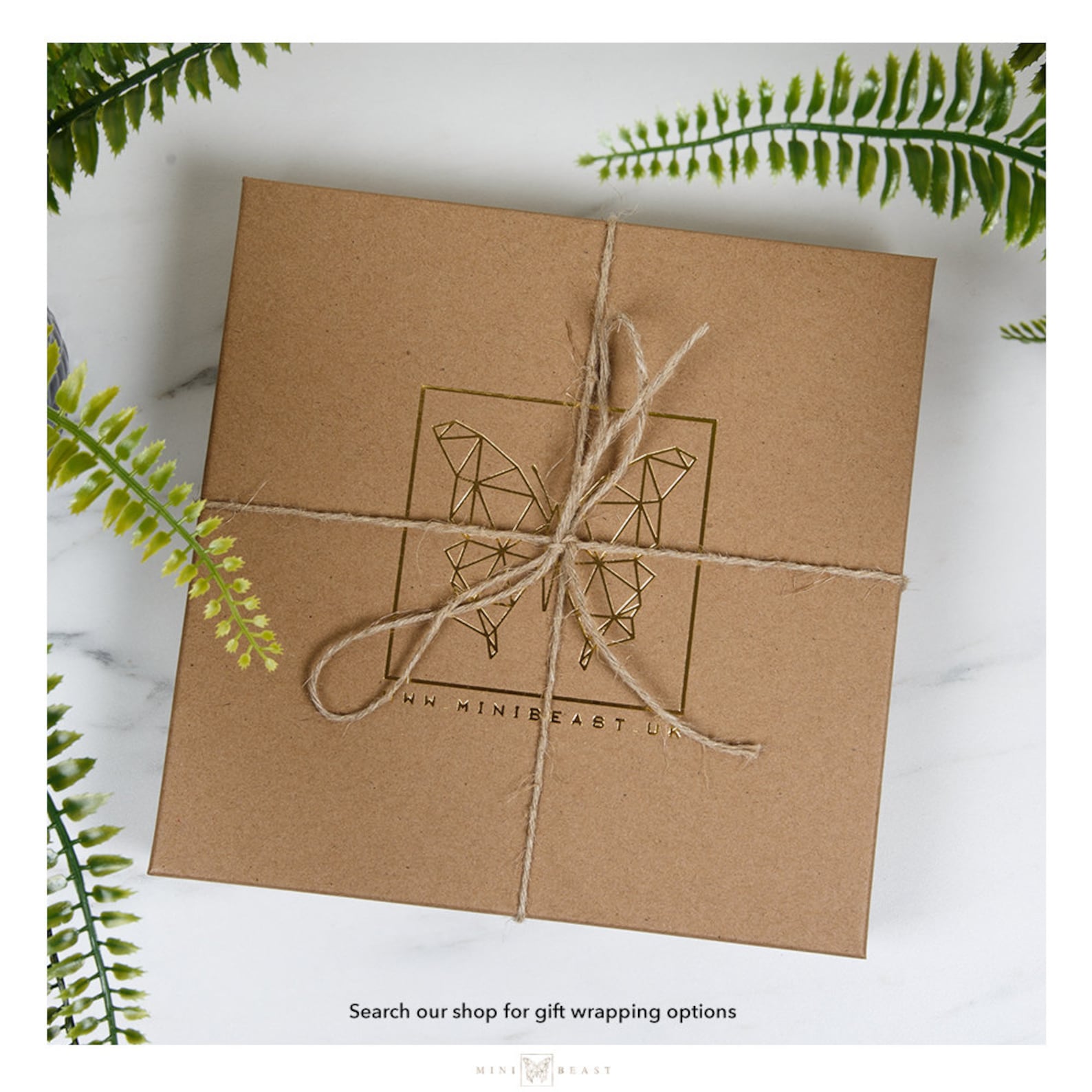 Giant Grasshopper in Box Frame Tropidacris dux Real Insect | Etsy