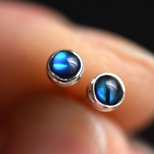 Abalone Shell Stud Earrings 8mm Dainty Beachy Earrings Paua - Etsy