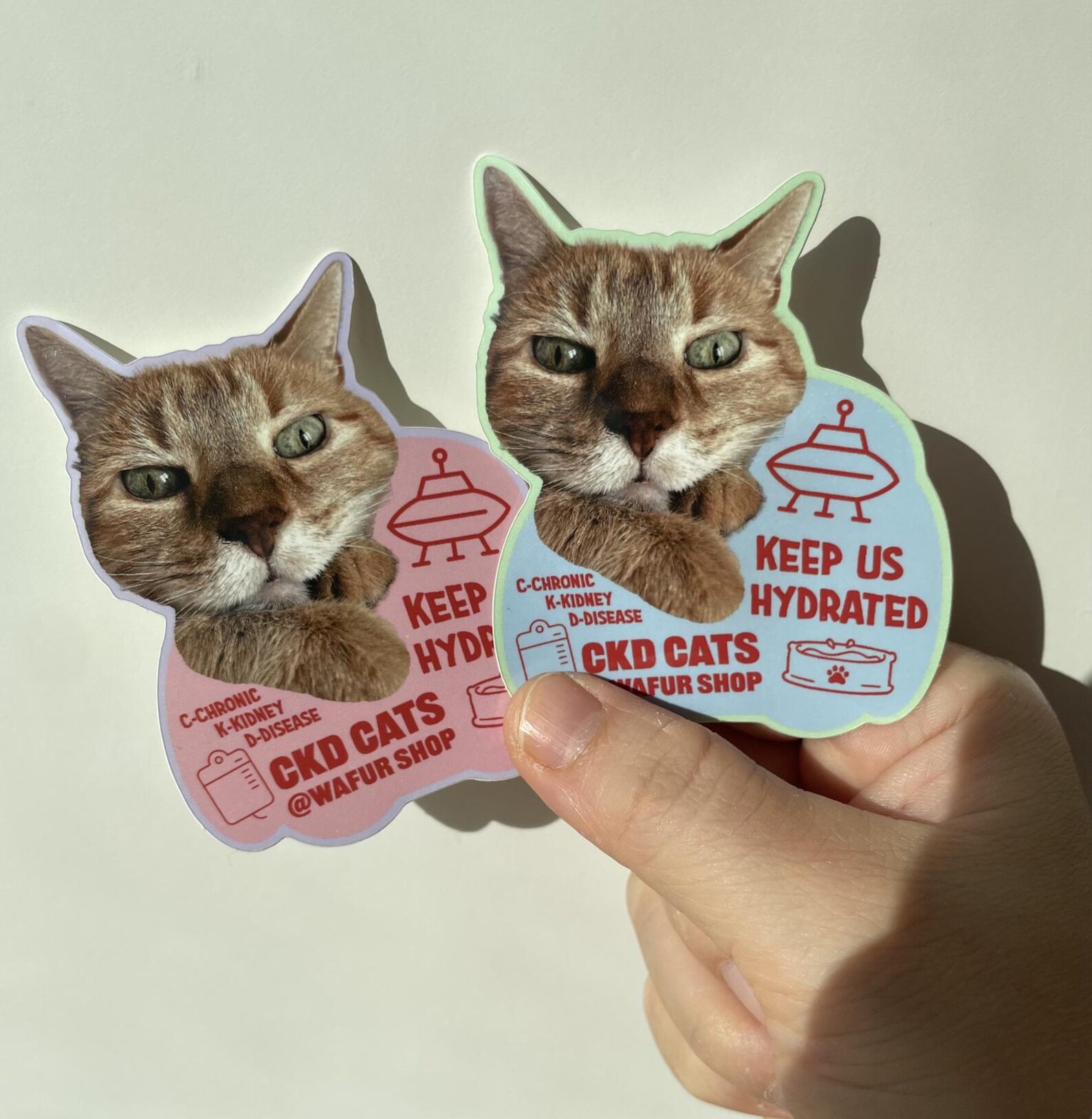 Cat Stickers, CKD Cats - Etsy