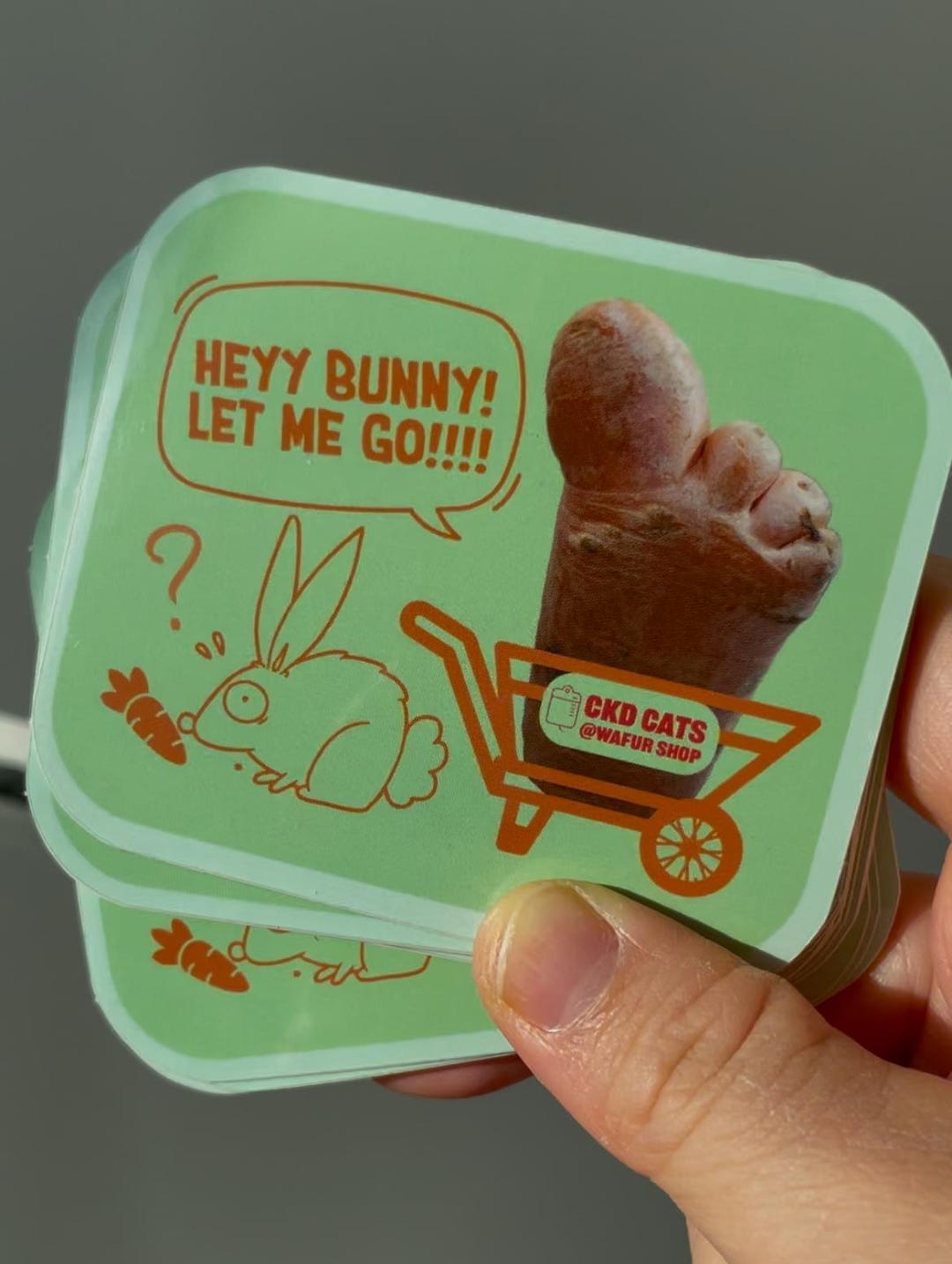 Toe Carrot Vinyl Sticker (waterproof 3" X 2.6") P.s. a Real Carrot:) - Etsy