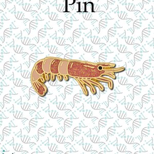 Shrimp Hard and Soft Enamel Pin With Glitter - Etsy