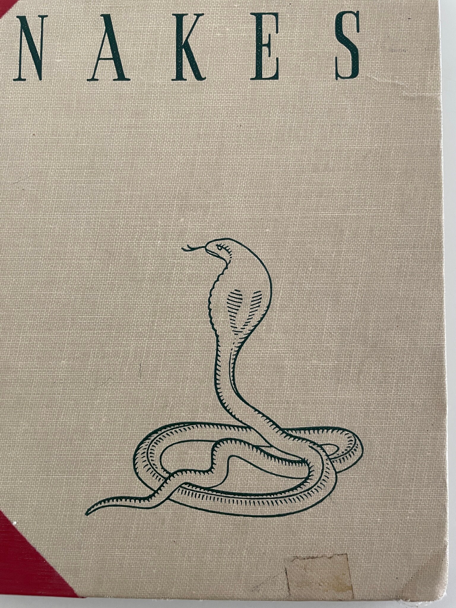 Vintage 1956 the First Book of Snakes by John Hoke Childrens Mid ...