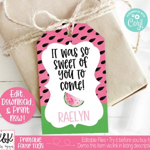 Watermelon Favor Tag, One in a Melon, Watermelon Party Favor ...