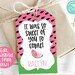 Watermelon Favor Tag, One in a Melon, Watermelon Party Favor ...