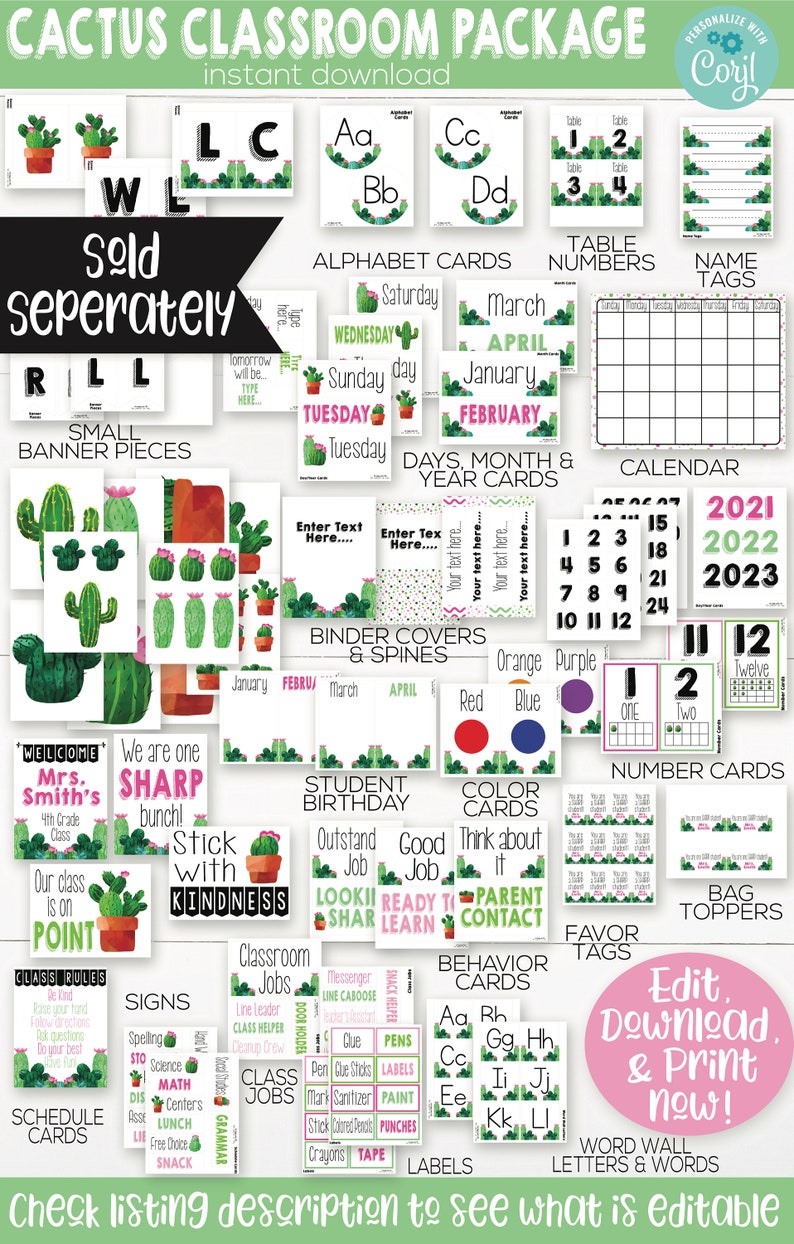 Cactus Succulent Theme Classroom Editable Behavior Clip Chart - Etsy