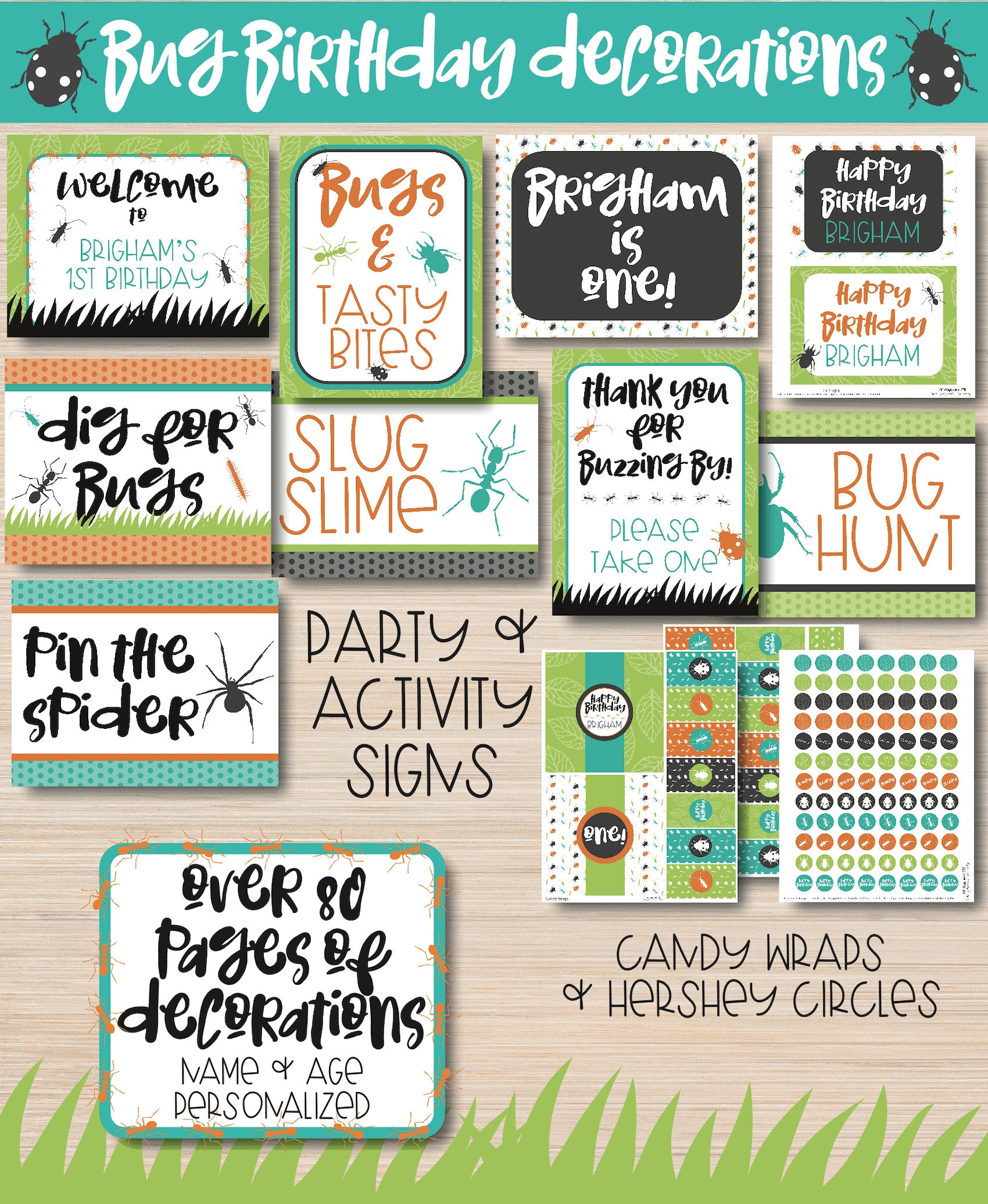 Bug Birthday Party Decorations Insect Birthday Party | Etsy