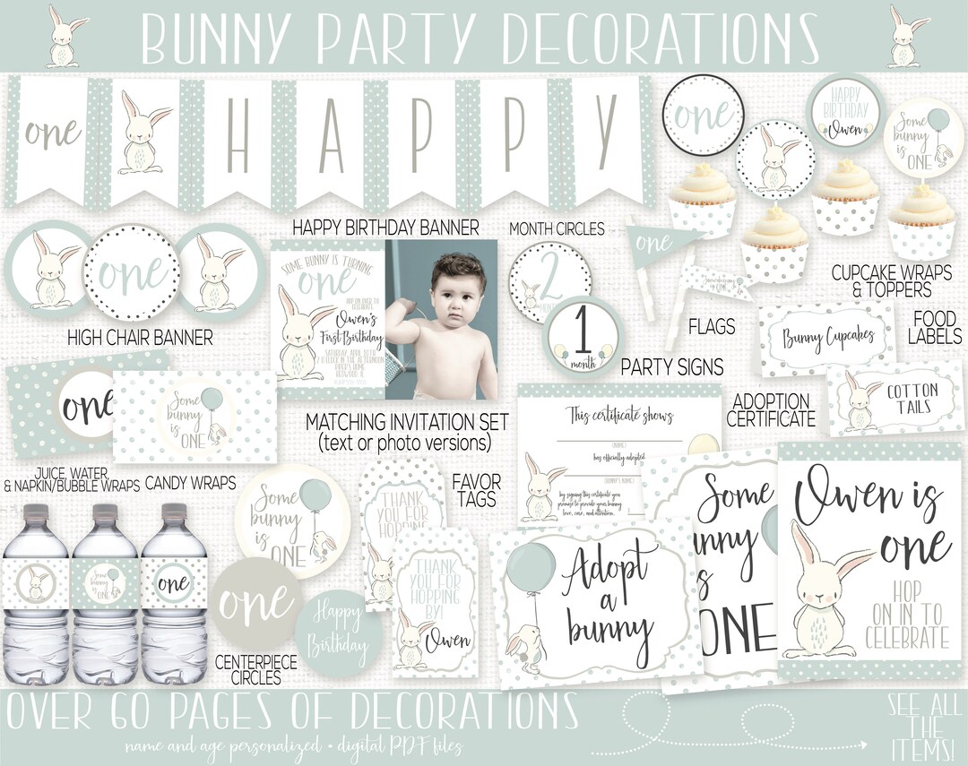 Bunny Birthday Party Decorations, Some Bunny is One, Spring Birthday ...