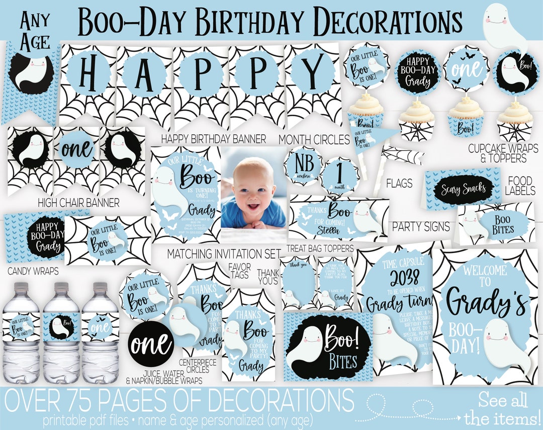 Little Boo Boo Day Blue Ghost Birthday Party Decorations Halloween ...