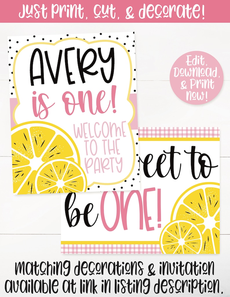 Pink Lemonade Birthday Party Decorations Pink Lemonade Party | Etsy