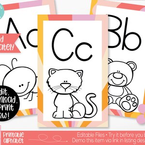 Retro Groovy Theme Classroom Alphabet Banner Printable, Teacher Supply ...
