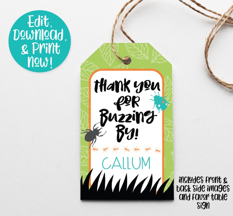 Bug Favor Tags, Insect Favor Tags, Bug Birthday Party Decorations, Bug ...