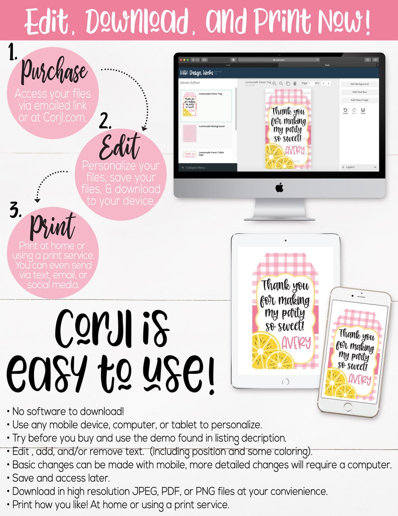 Pink Lemonade Favor Tag, Lemonade Party Favors, Lemonade Favor Label ...