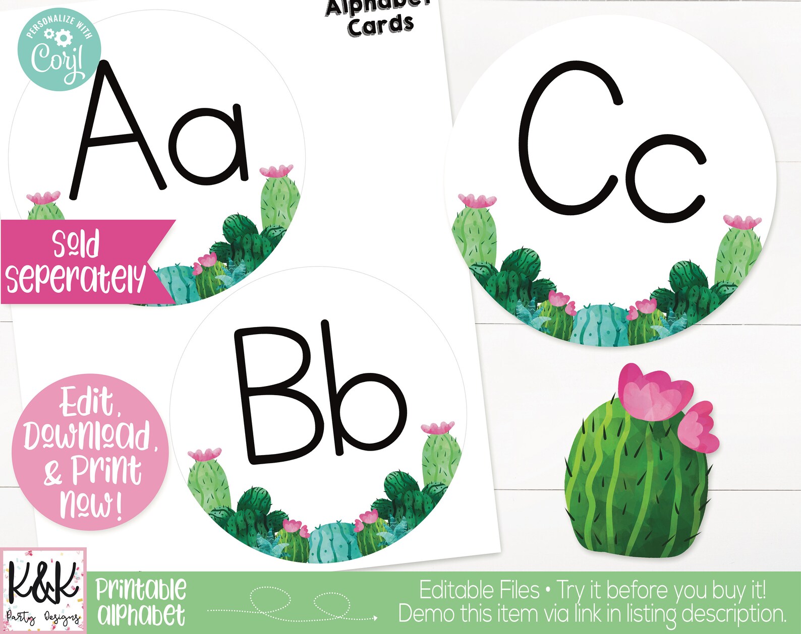 Cactus Succulent Theme Classroom Editable Behavior Clip Chart - Etsy