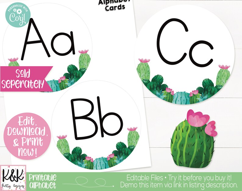 Cactus Succulent Theme Classroom Editable Behavior Clip Chart - Etsy