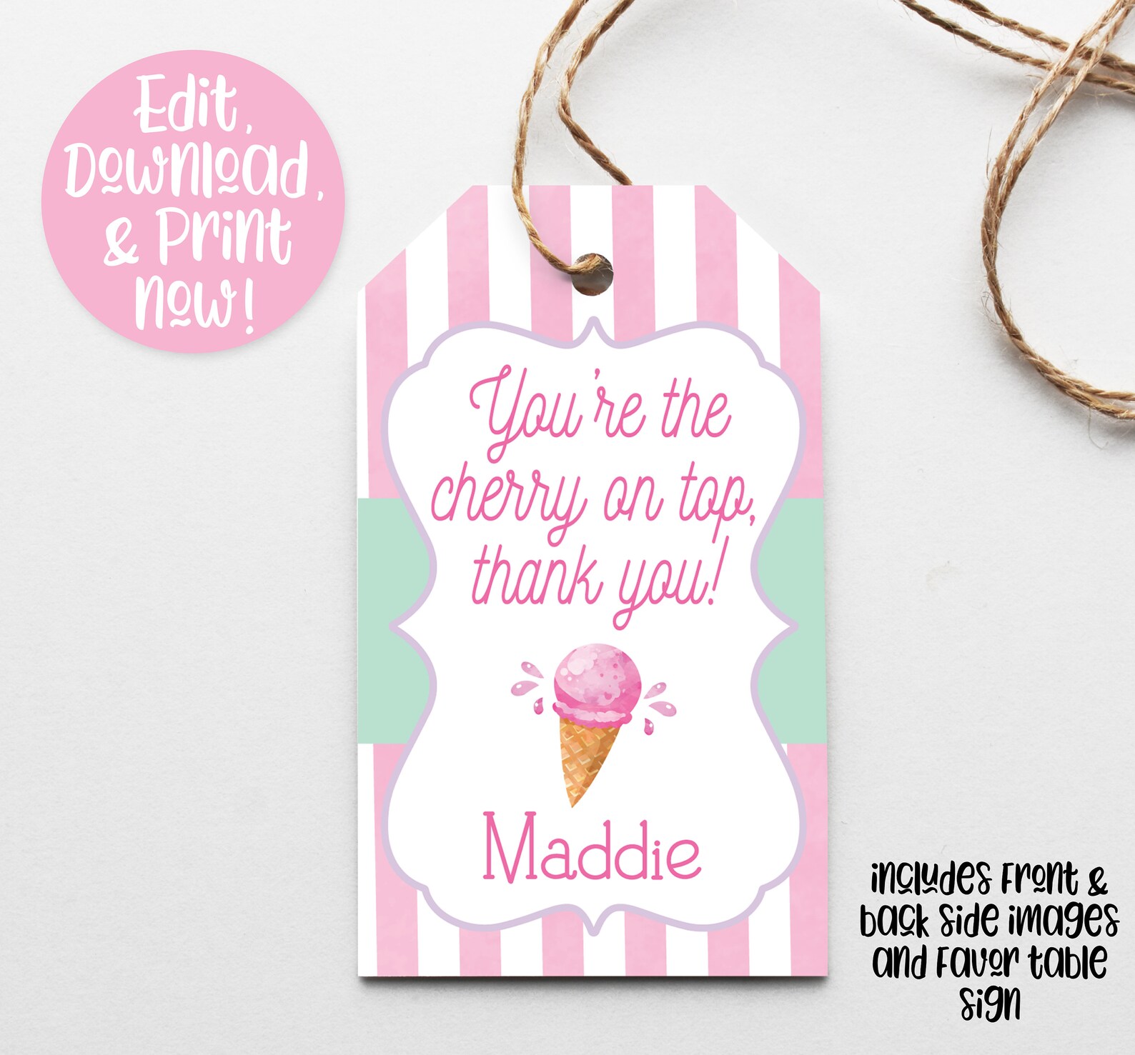 Ice Cream Favor Tags Ice Cream Birthday Party Decorations | Etsy