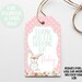 Bunny Favor Tag Some Bunny is One Bunny Birthday Party - Etsy