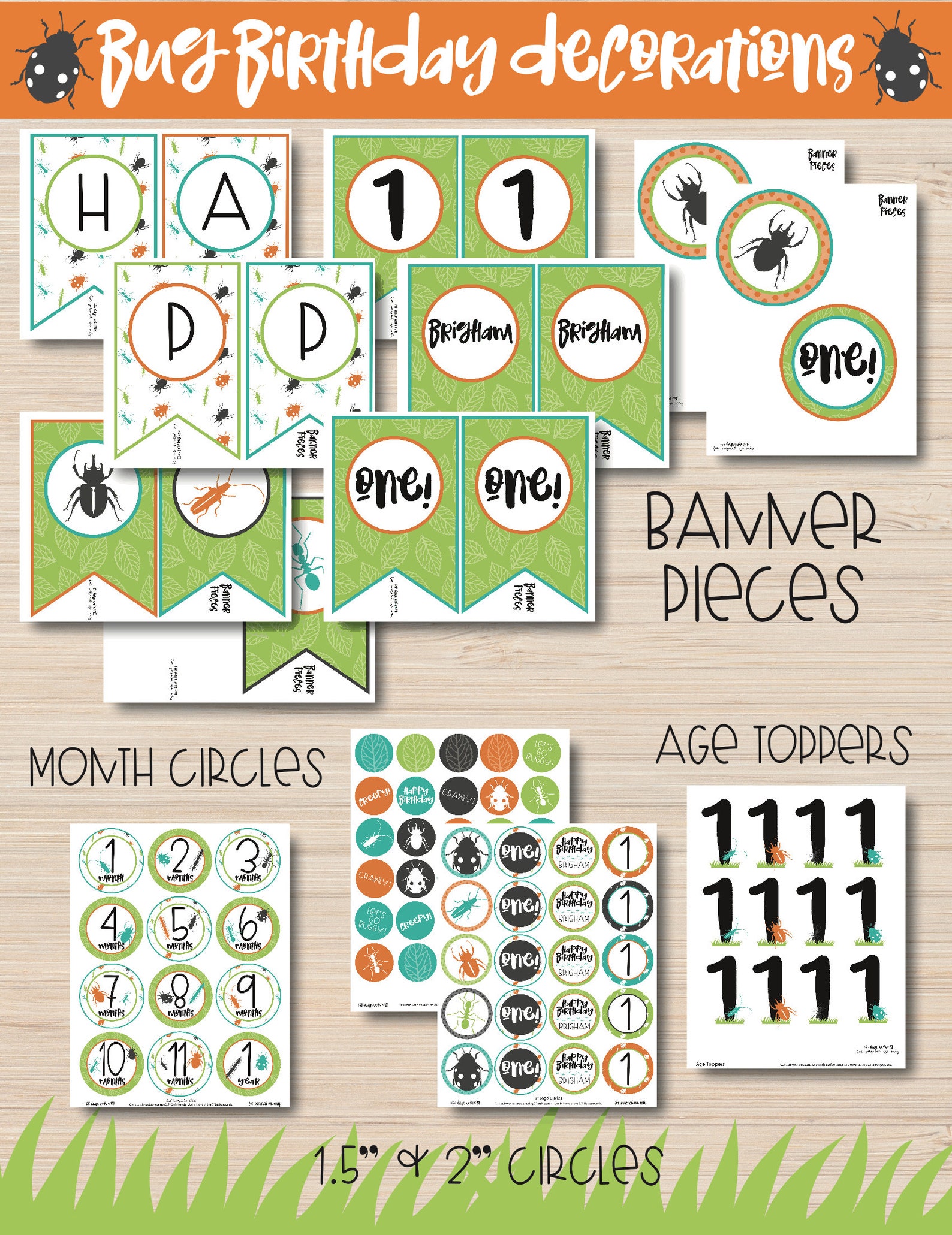 Bug Birthday Party Decorations Insect Birthday Party | Etsy