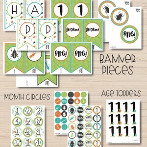 Bug Birthday Party Decorations, Insect Birthday Party Decorations, Bug ...