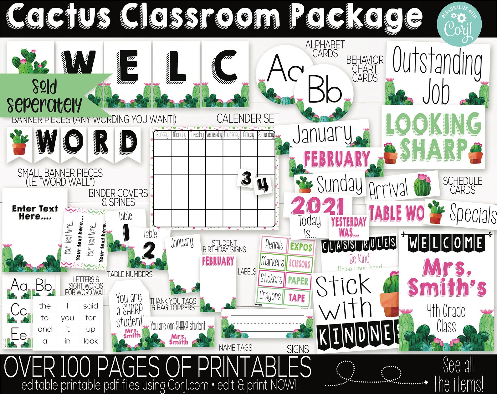 Cactus Succulent Theme Classroom Editable Behavior Clip Chart - Etsy