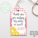 Pink Lemonade Favor Tag, Lemonade Party Favors, Lemonade Favor Label ...