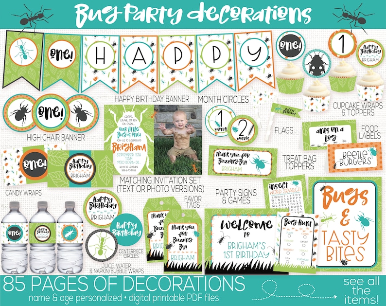 Bug Birthday Party Decorations Insect Birthday Party - Etsy