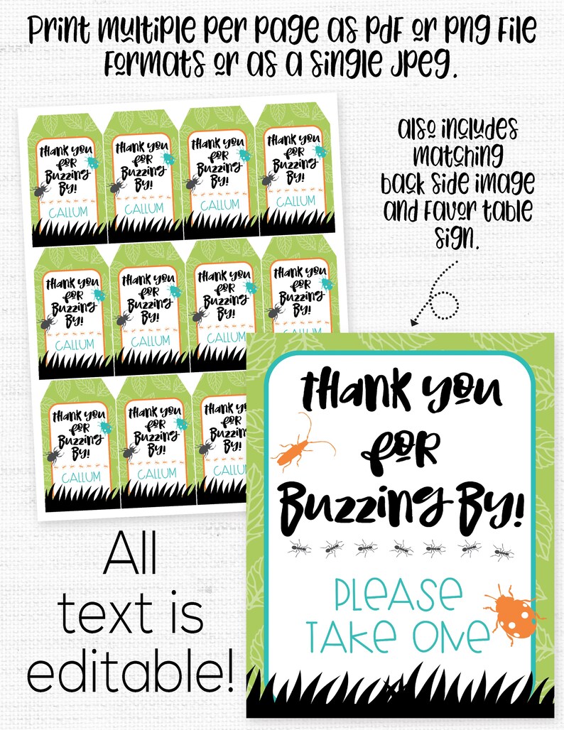 Bug Favor Tags, Insect Favor Tags, Bug Birthday Party Decorations, Bug ...