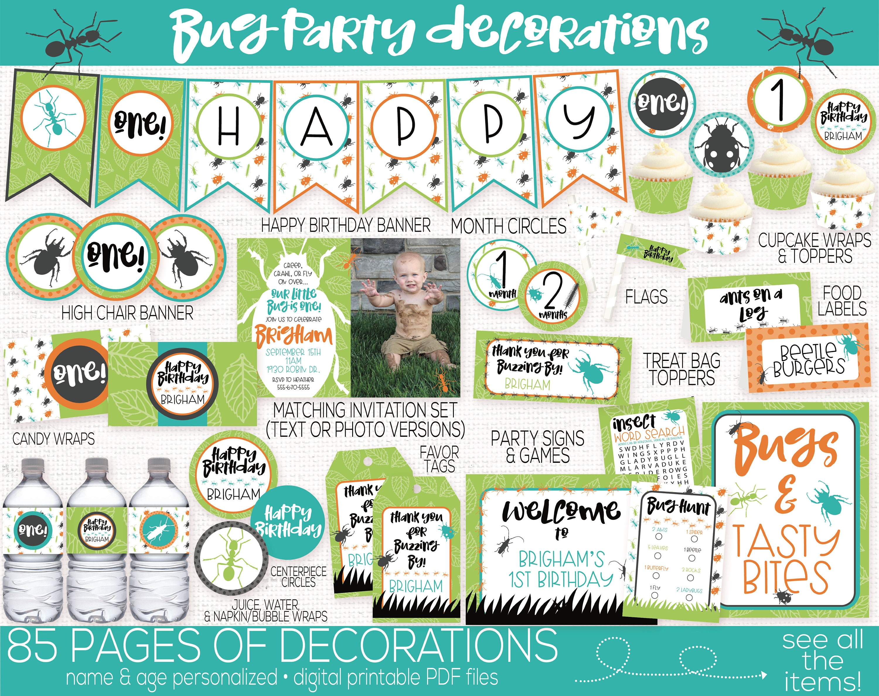 Bug Food Labels Insect Food Labels Bug Birthday Party Etsy 