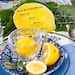 3D Lemon Menu/ Fruit Menu Card/ Lemonade Menu/ Yellow Menu - Etsy